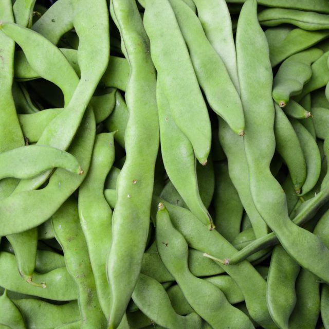 Snijboon - Franken Fruit