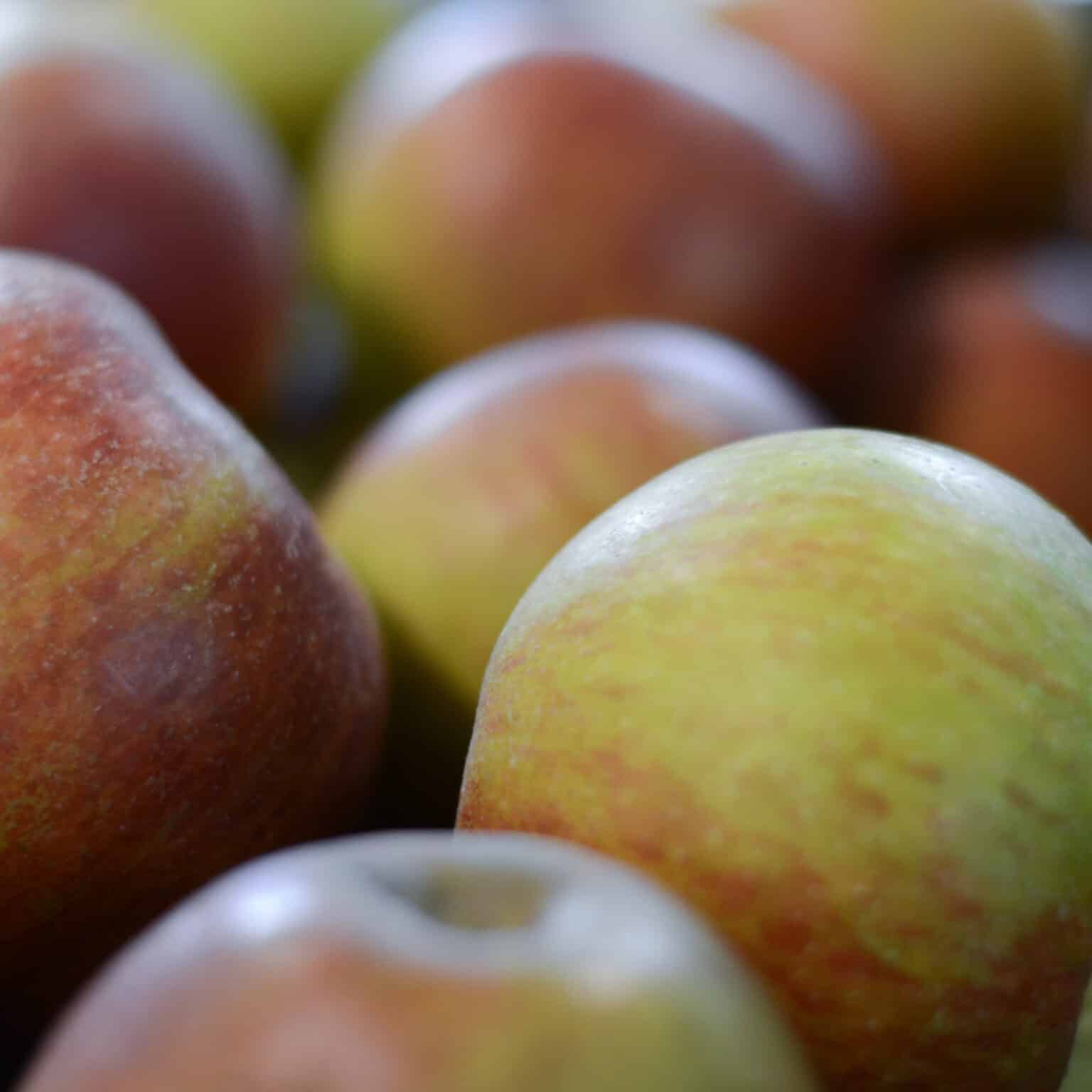 De appelwijzer: welke is voor u? - Franken Fruit